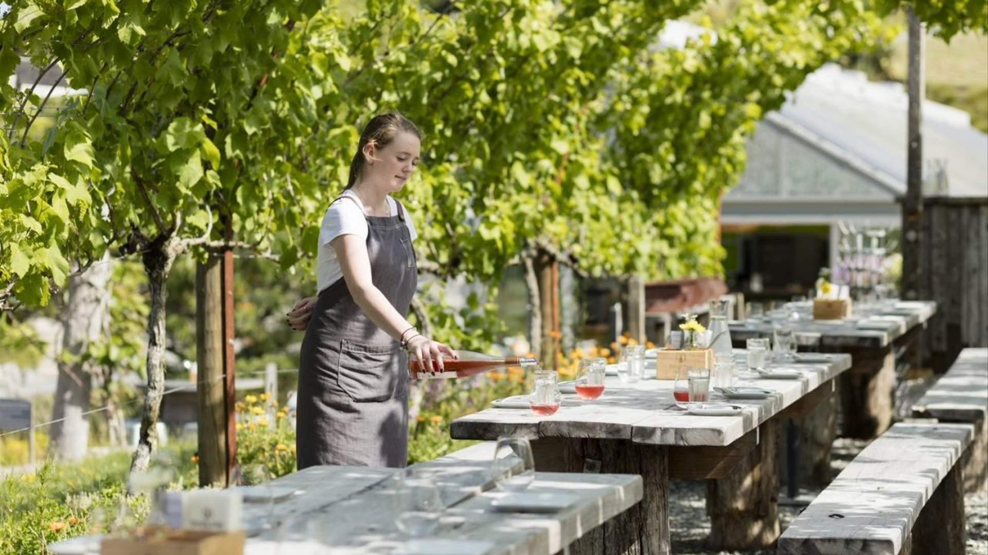 A Wine Lover's Guide to Matakana - Concrete Playground