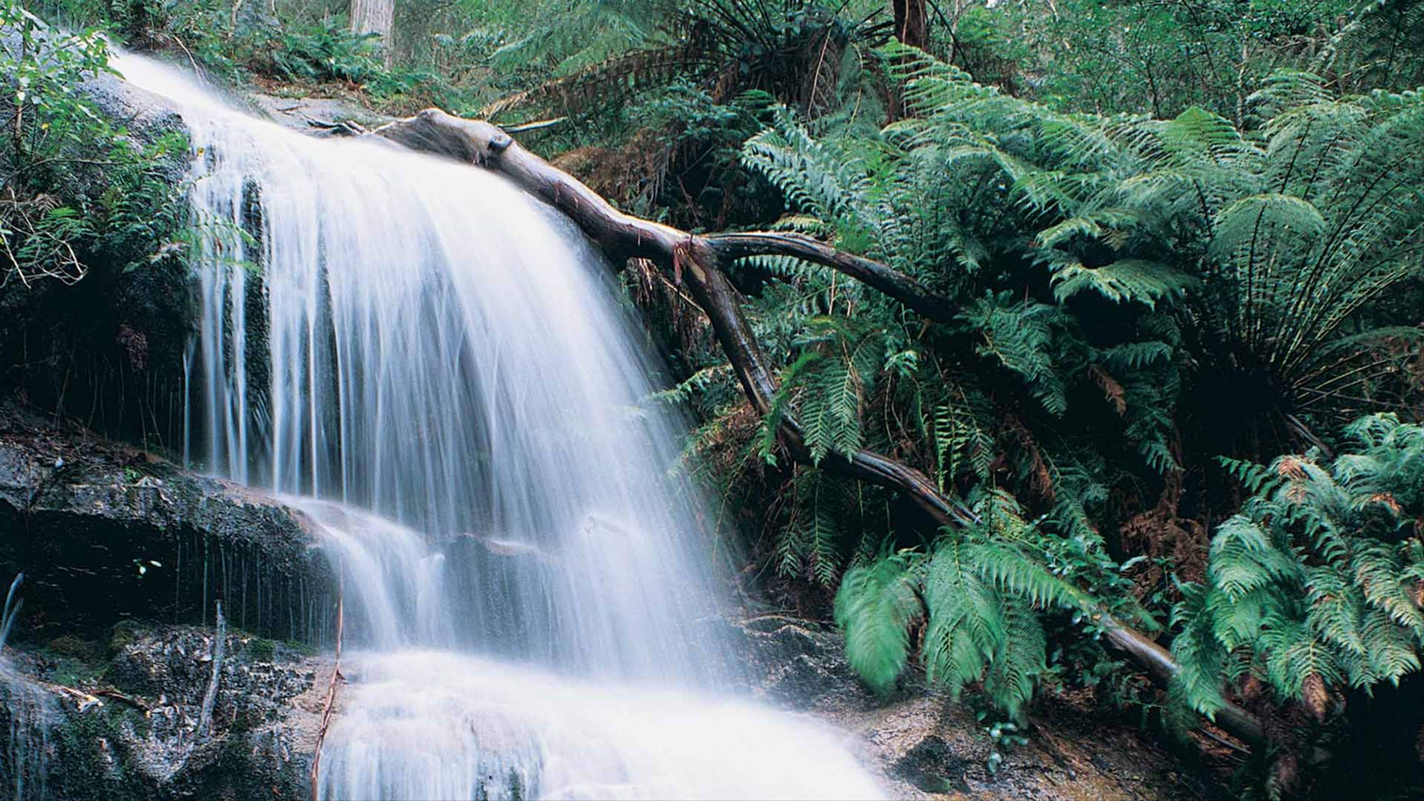 Five Spectacular Waterfalls to Visit Near Melbourne - Concrete Playground