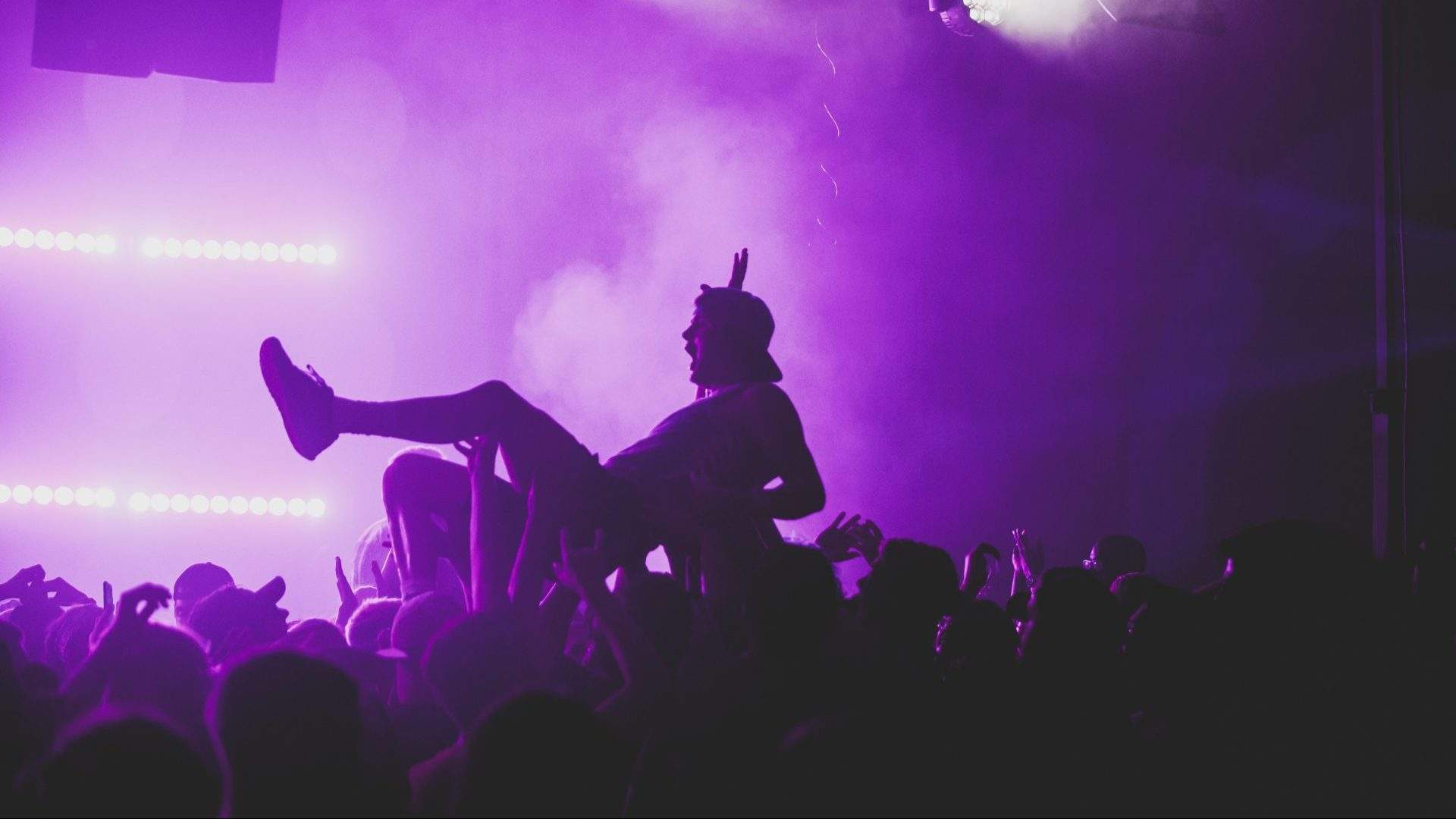 New Zealand Is Getting a Bingo Rave - Concrete Playground