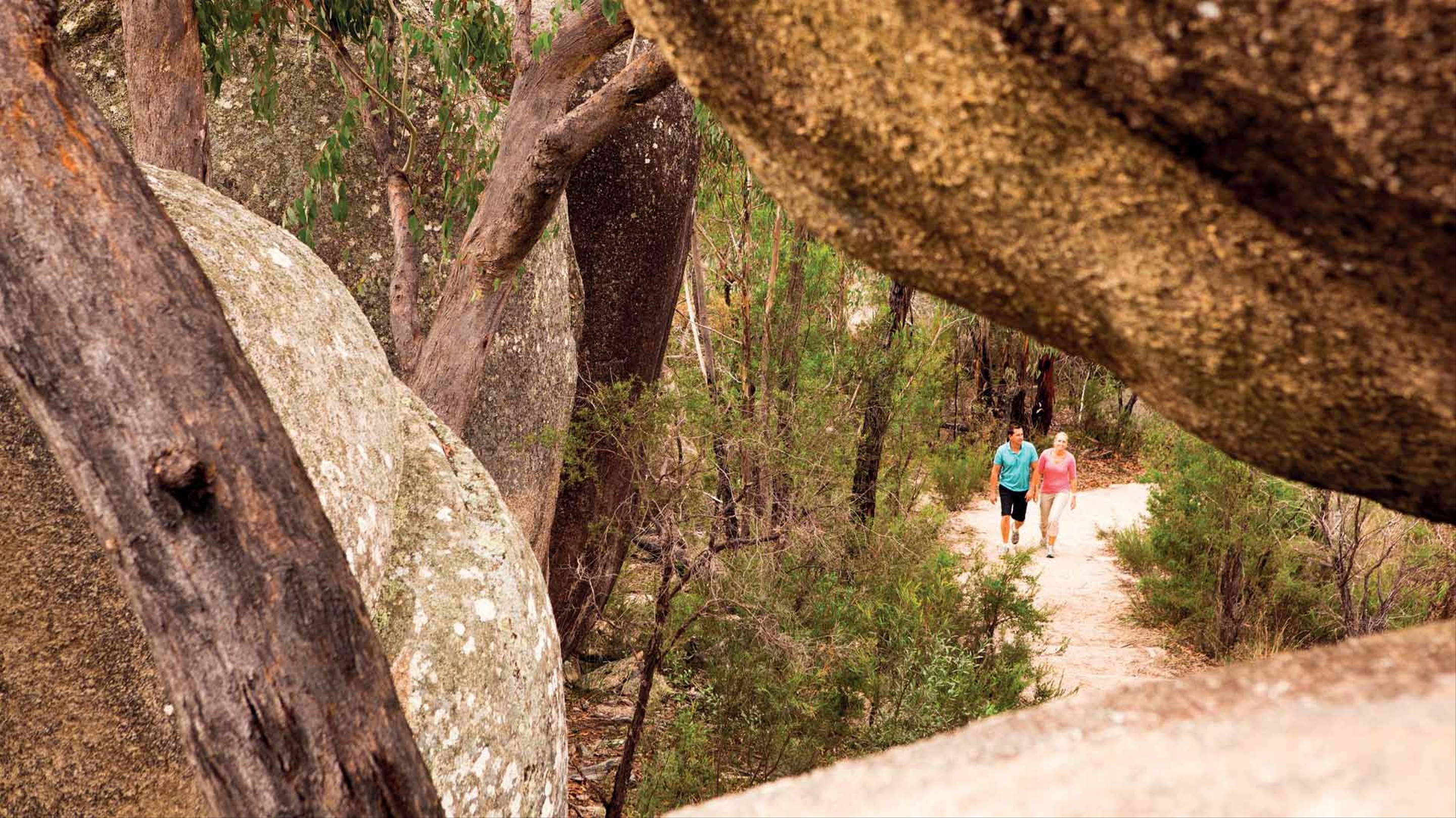 The Nine Best One-Day Hikes to Conquer in and Around Brisbane This ...