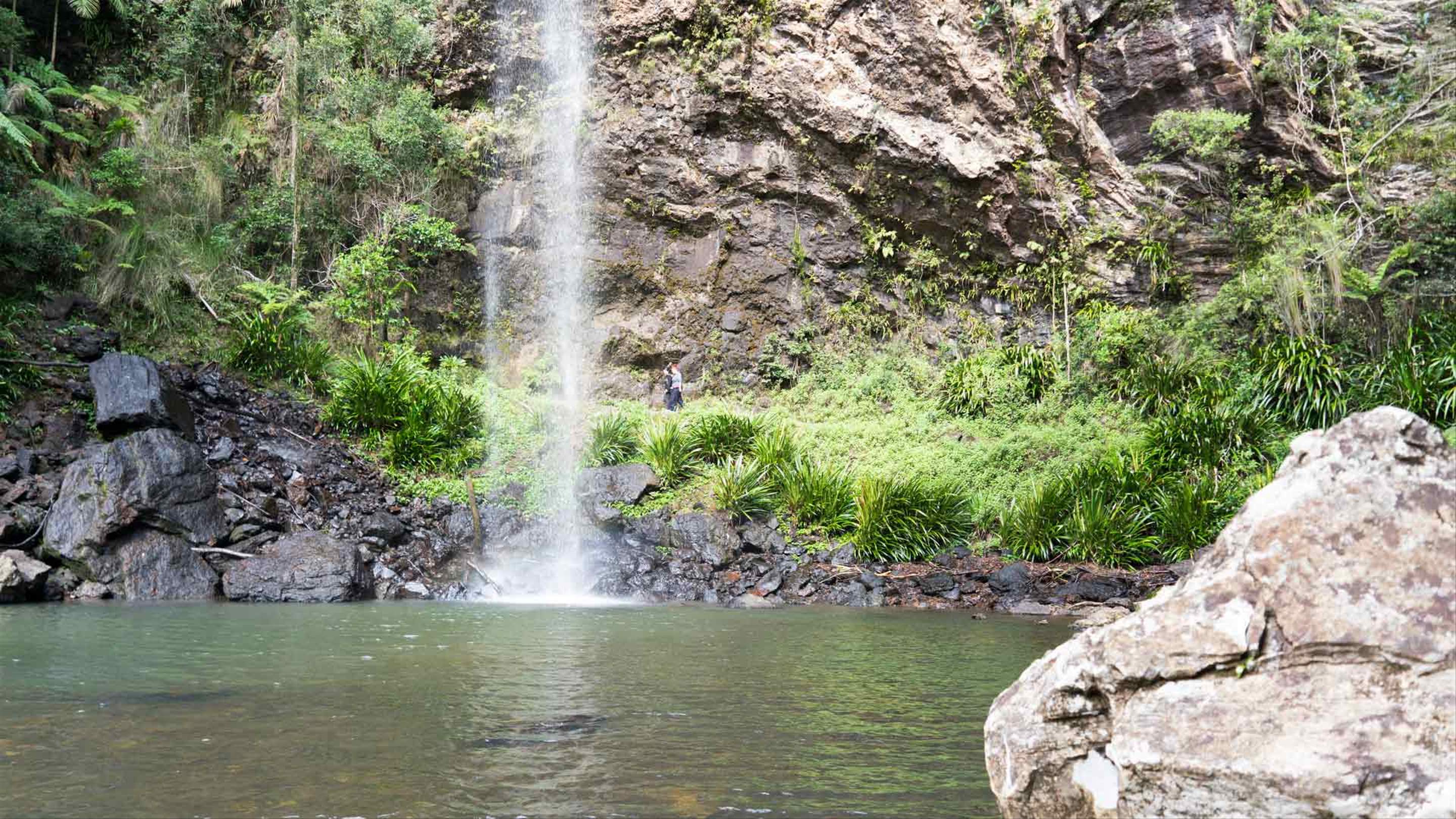 The Five Best Waterfalls Near Brisbane You Can Swim Under
