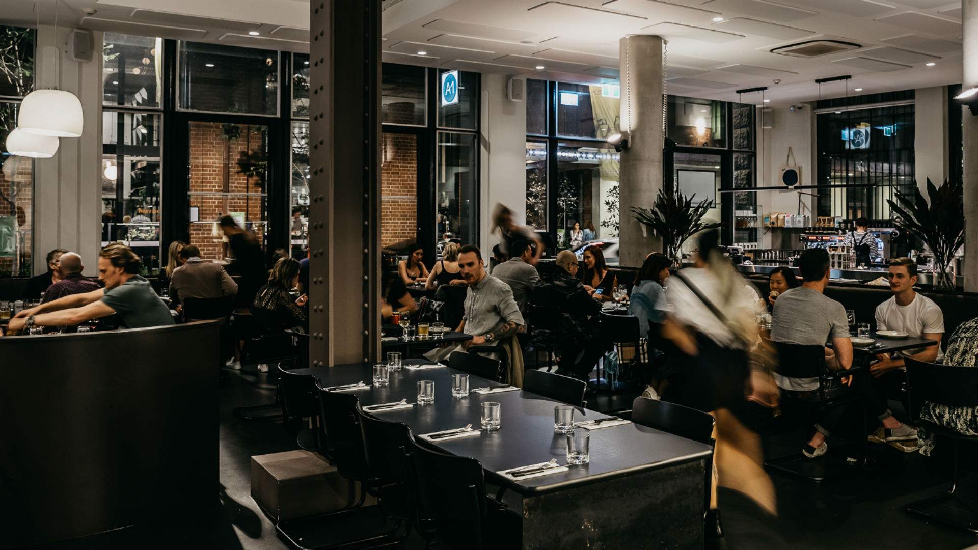 A1 & Friends: Kiwi Clambake with Morgan McGlone - Concrete Playground