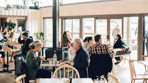 Common Ground Project, Freshwater Creek Review