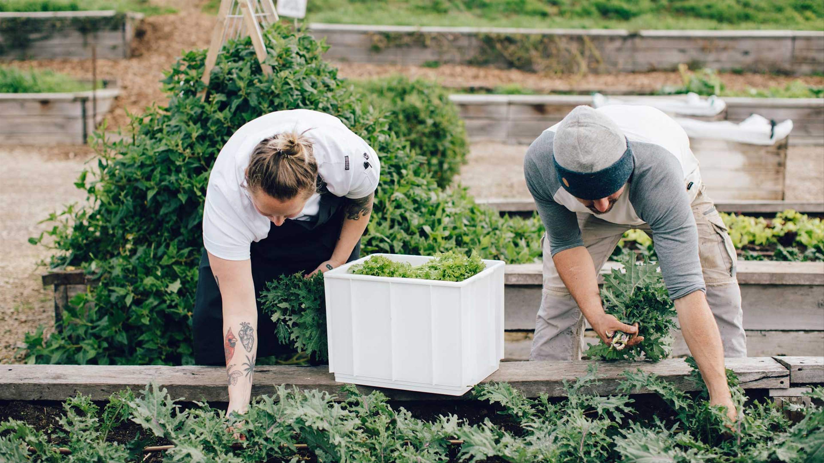 Common Ground Project, Freshwater Creek Review