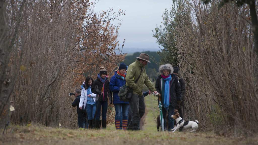 Canberra Region Truffle Festival - Concrete Playground