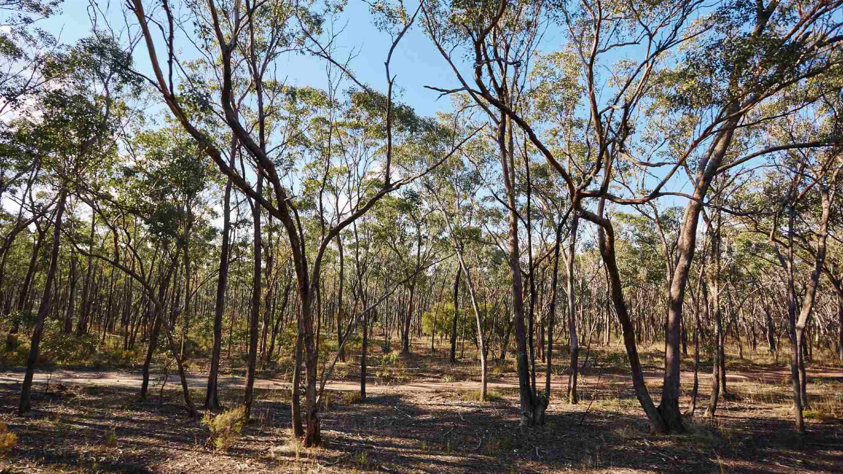 Nine Essential Outdoor Adventures to Have Throughout the Bendigo Region ...