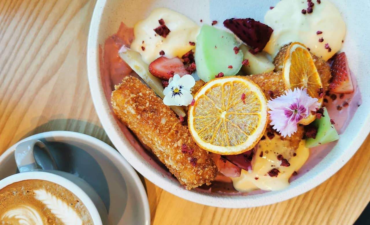 Newbie, Auckland Review