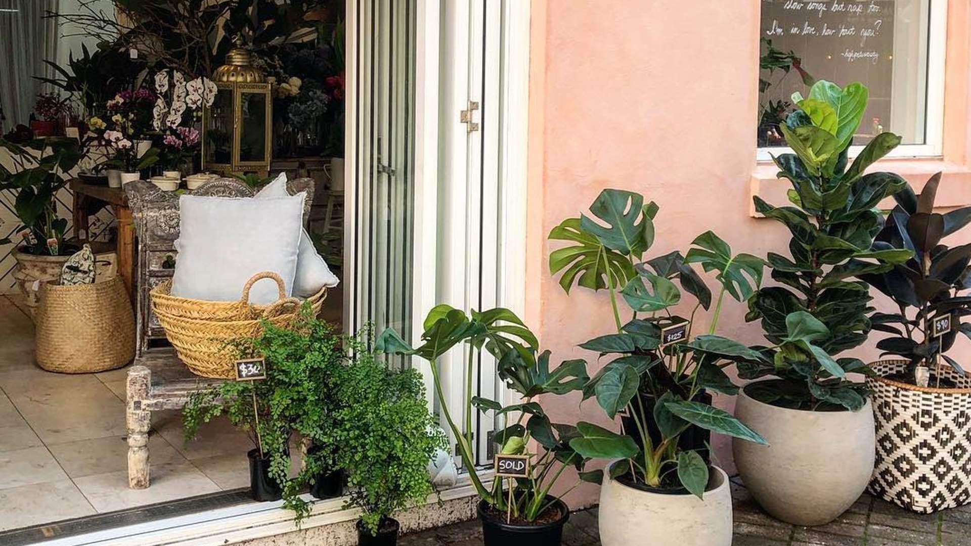 Poppies and Amber - Concrete Playground