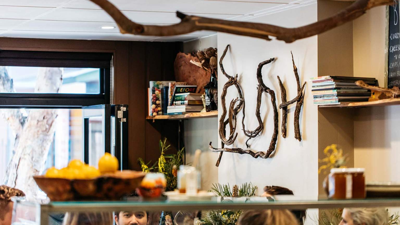 Bush, Redfern Review