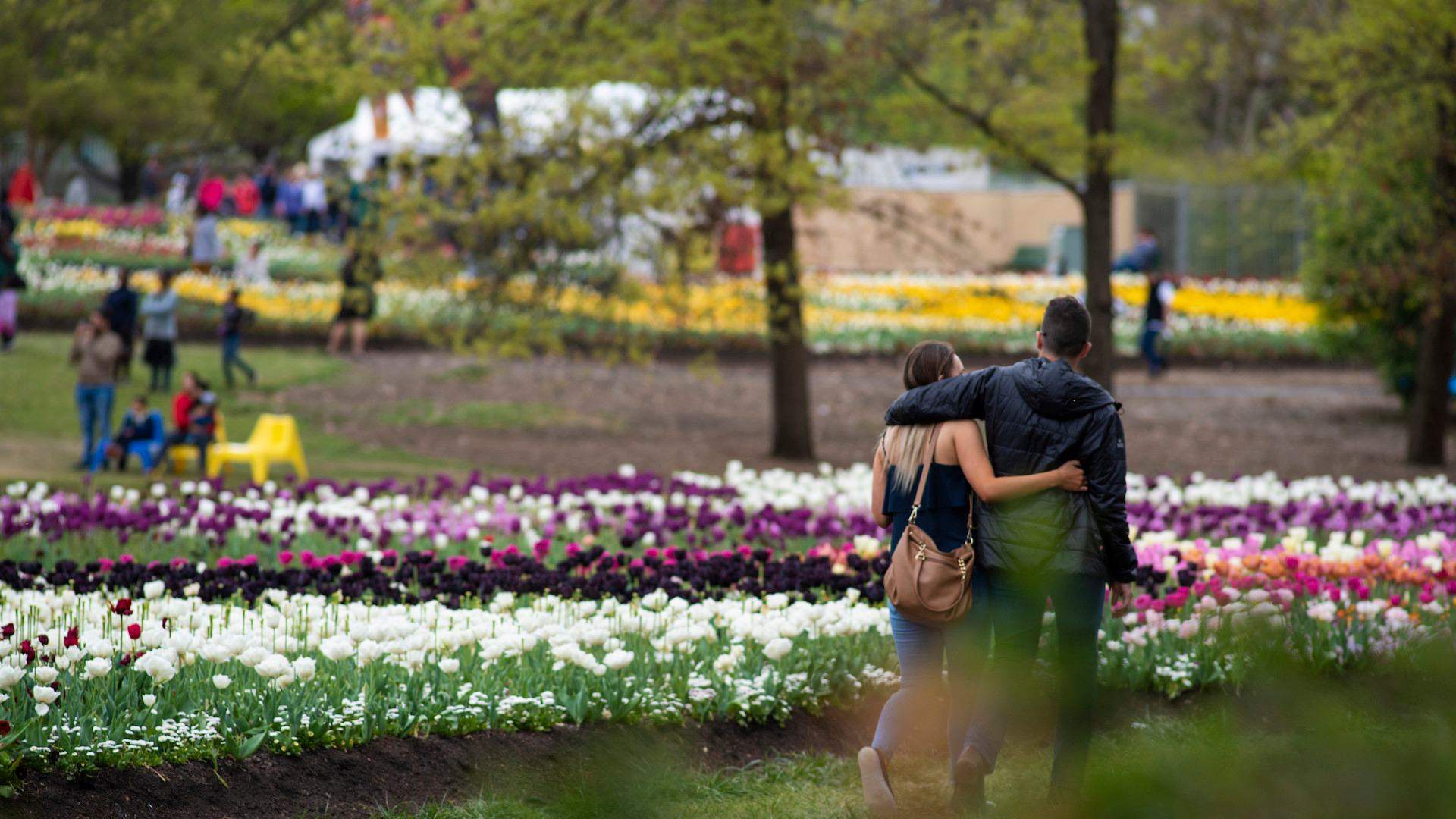 Floriade 2019, Canberra