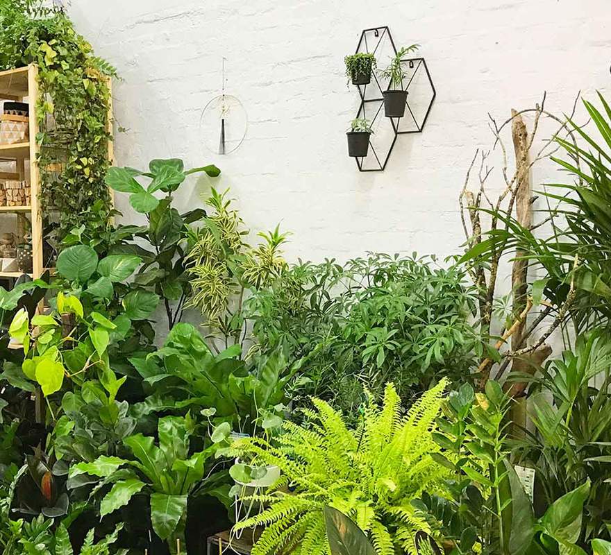 Folia House - Concrete Playground