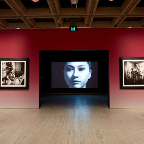Japan Supernatural Concrete Playground