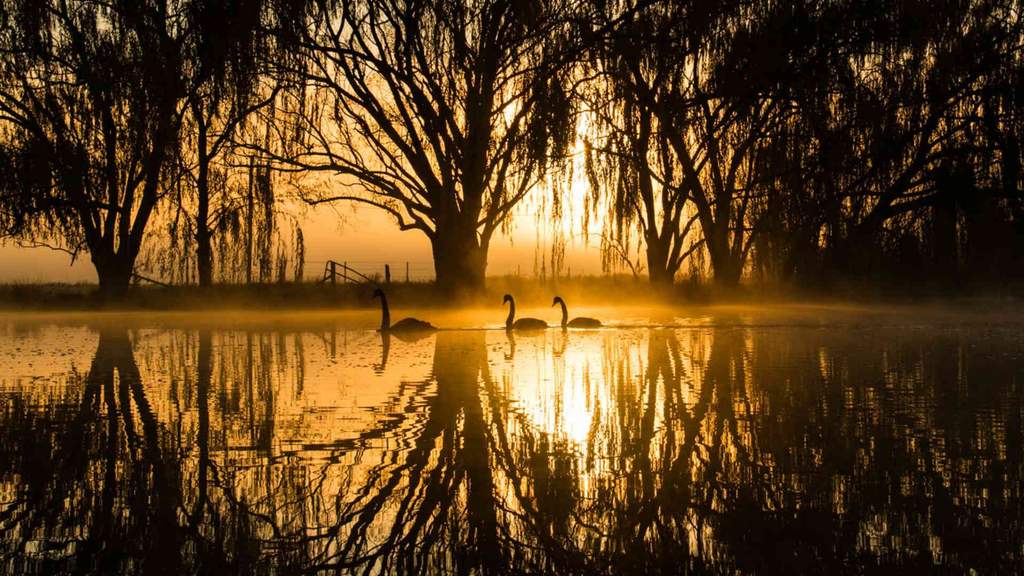 Jerrabomberra Wetlands - Concrete Playground