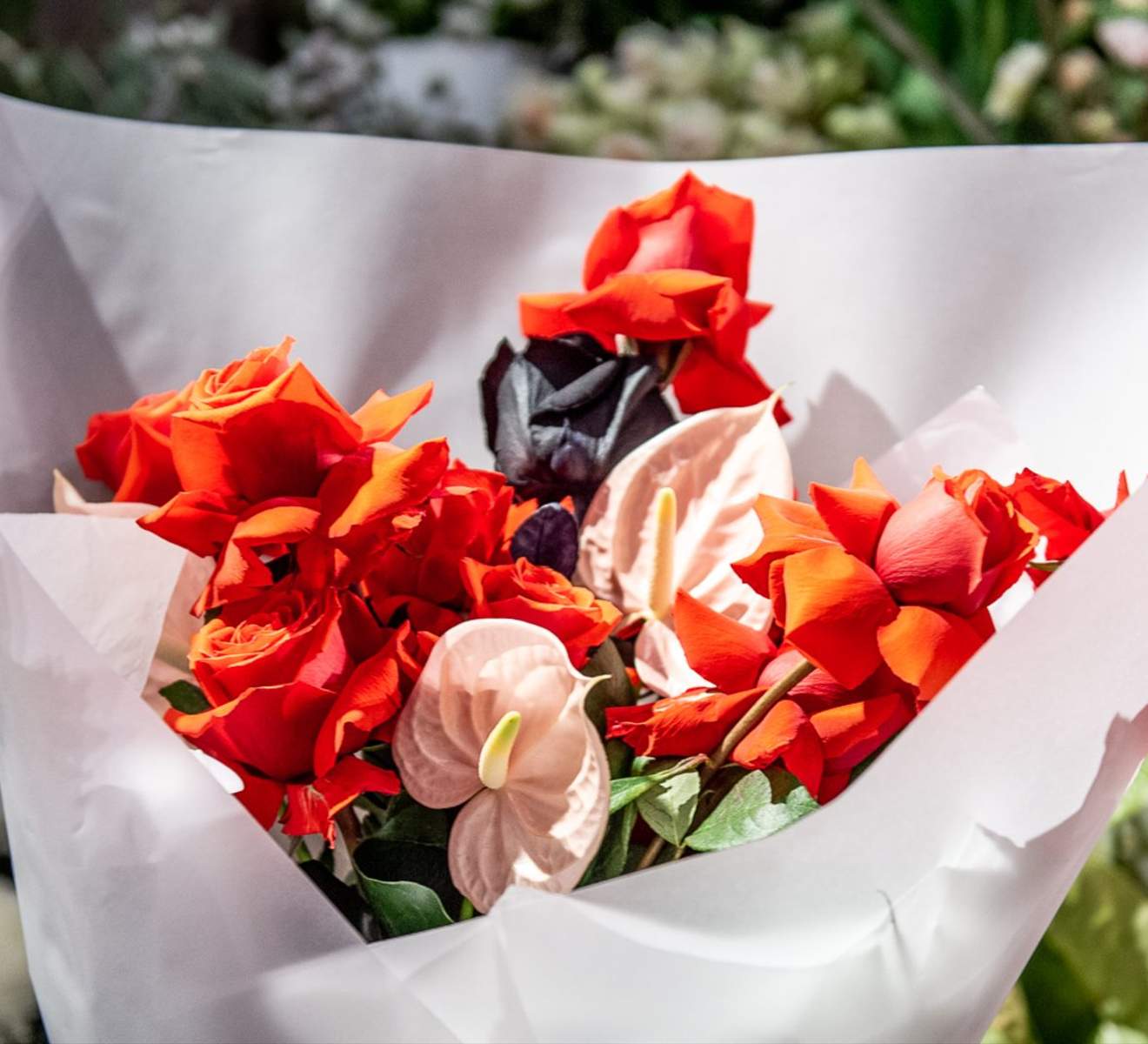 Pollon Flowers - Concrete Playground