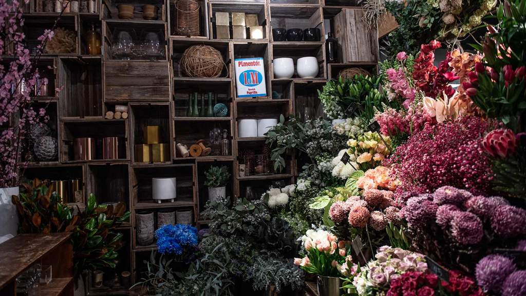 Pollon Flowers - Concrete Playground