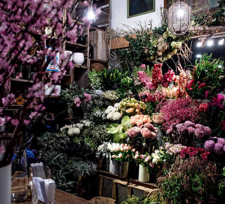 Pollon Flowers - Concrete Playground