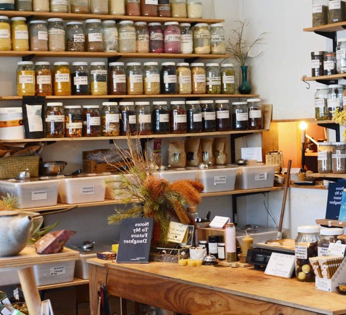 The Staple Store - Concrete Playground