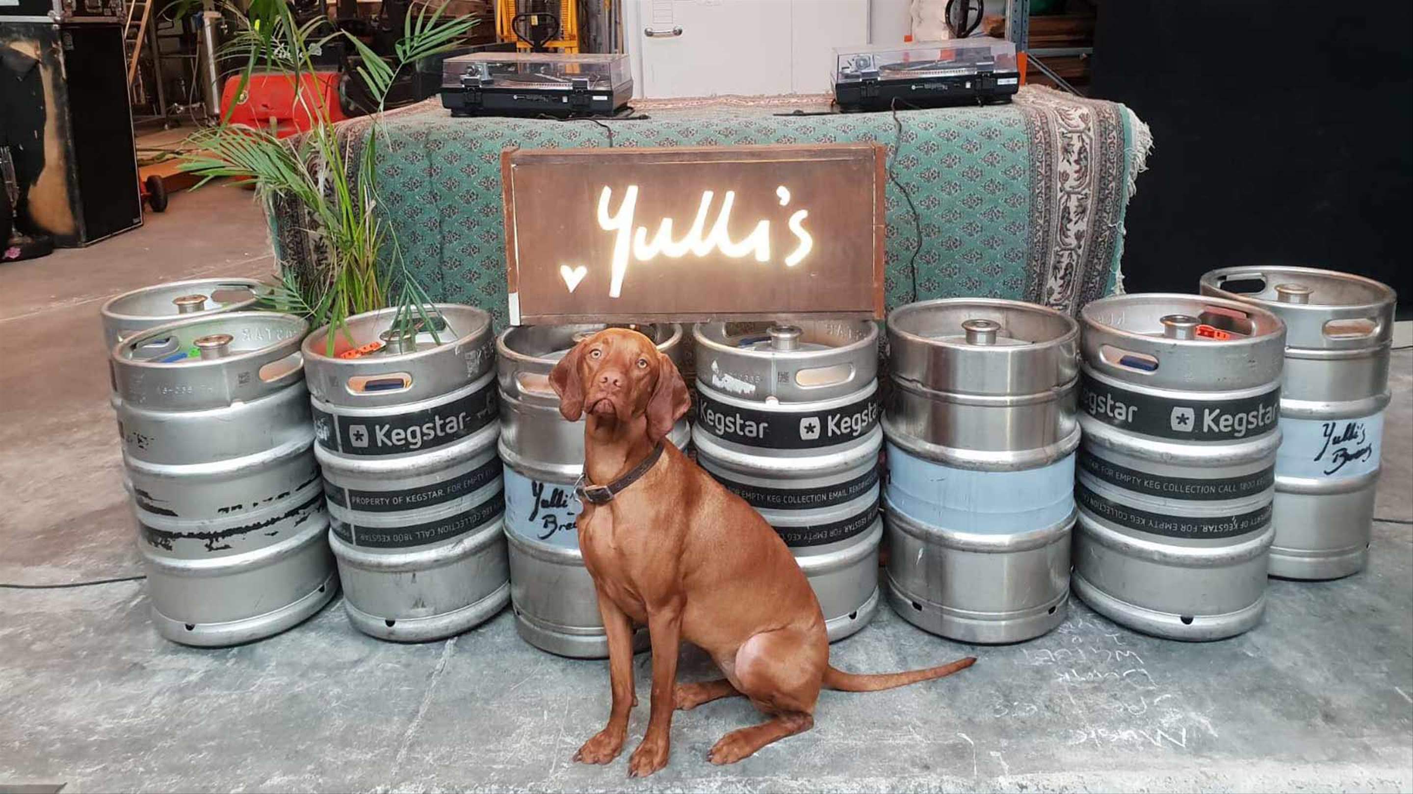 Yulli's Brews, Alexandria Review