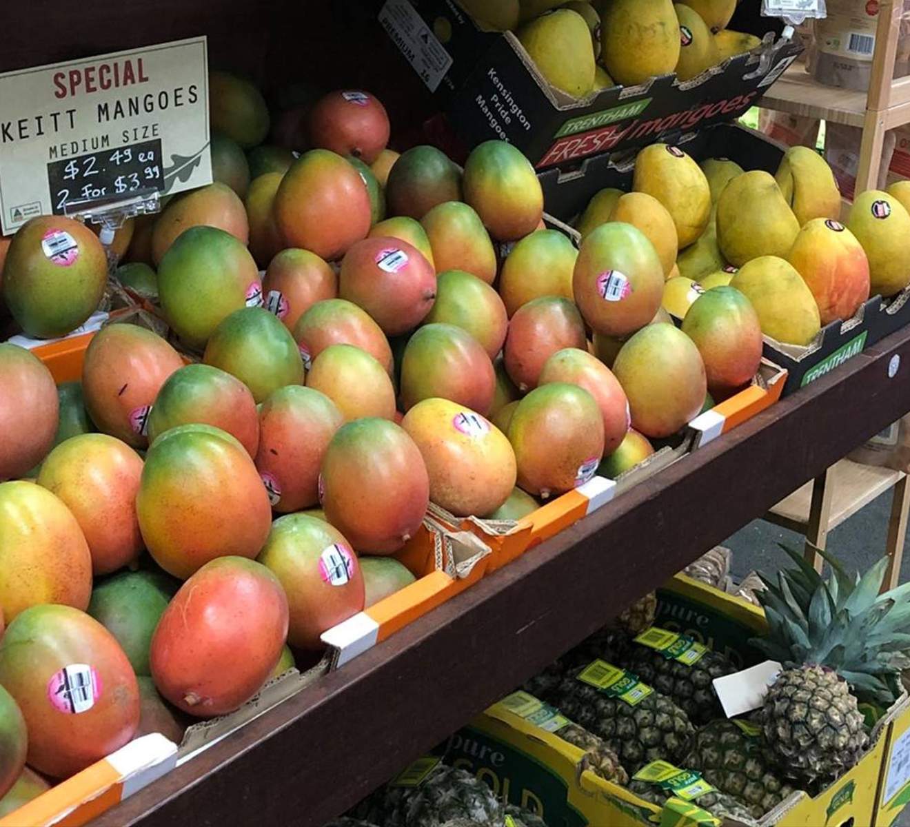 The Leaf Store - Concrete Playground