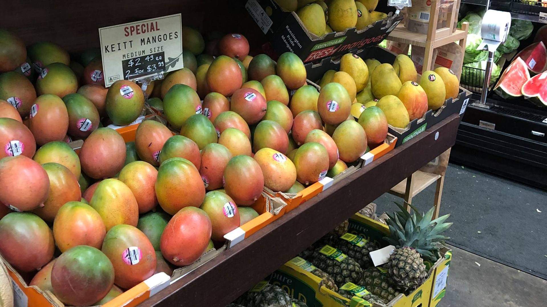 The Leaf Store - Concrete Playground