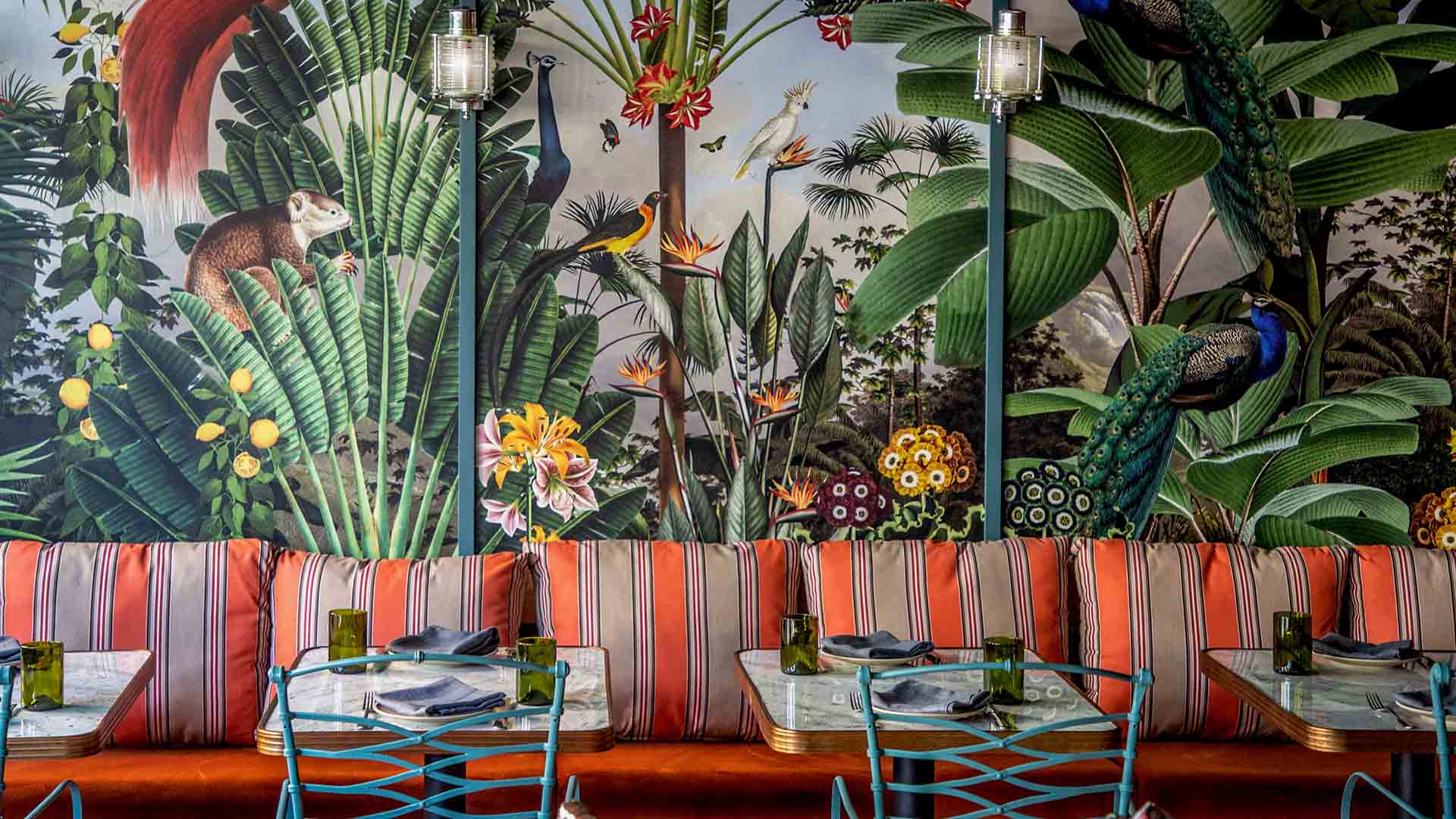 ZA ZA TA Bar and Kitchen, Fortitude Valley Review
