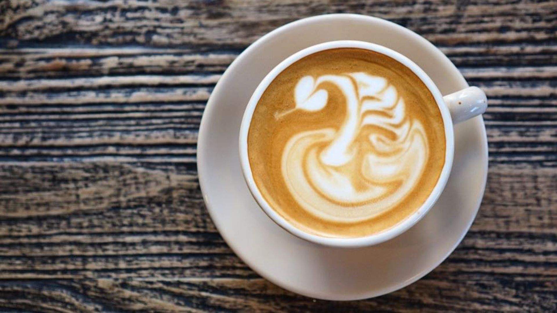 Aslan Coffee Roasters The Rocks, The Rocks Review