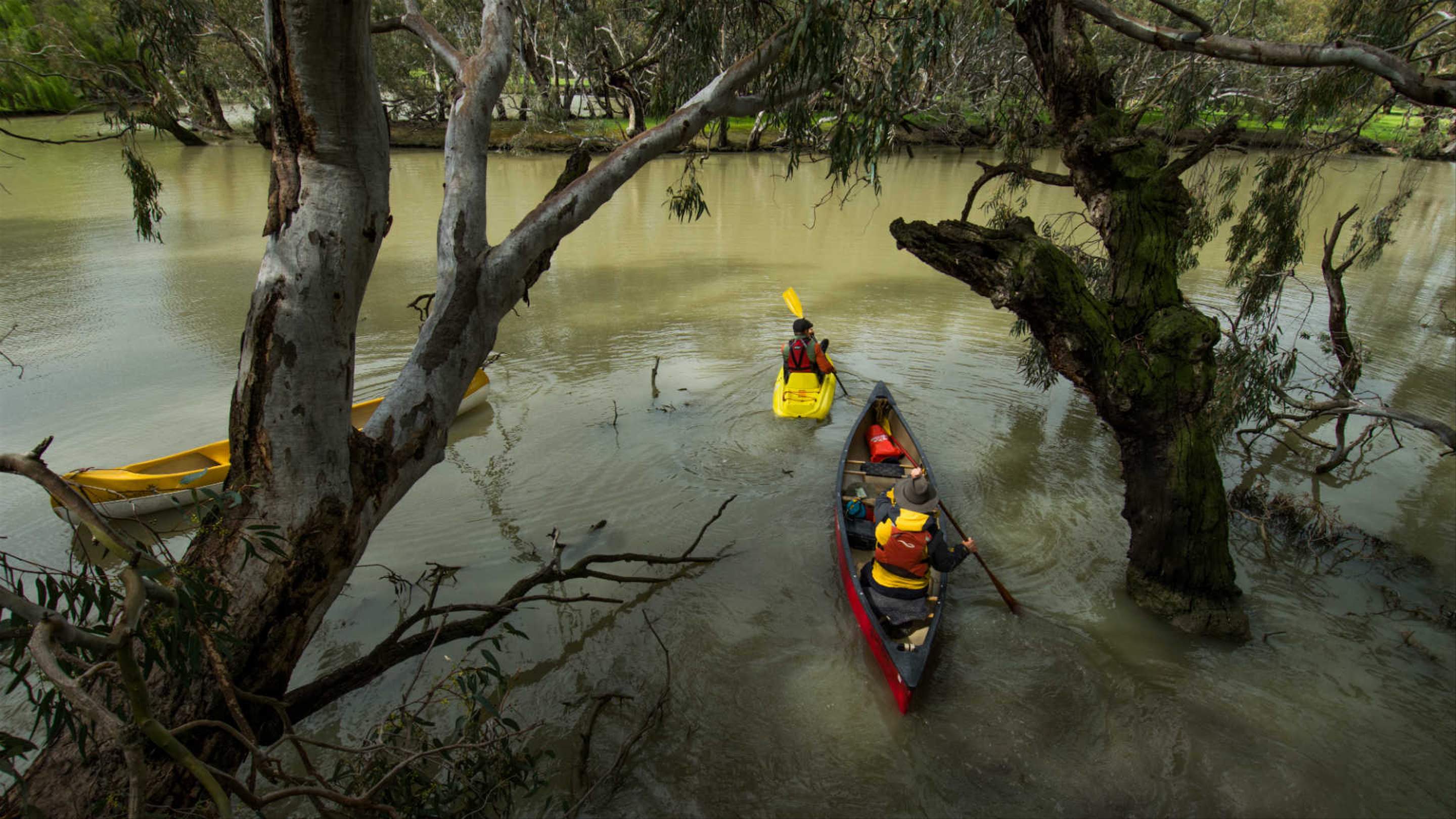 Nine Essential Outdoor Adventures to Have Throughout the Bendigo Region ...