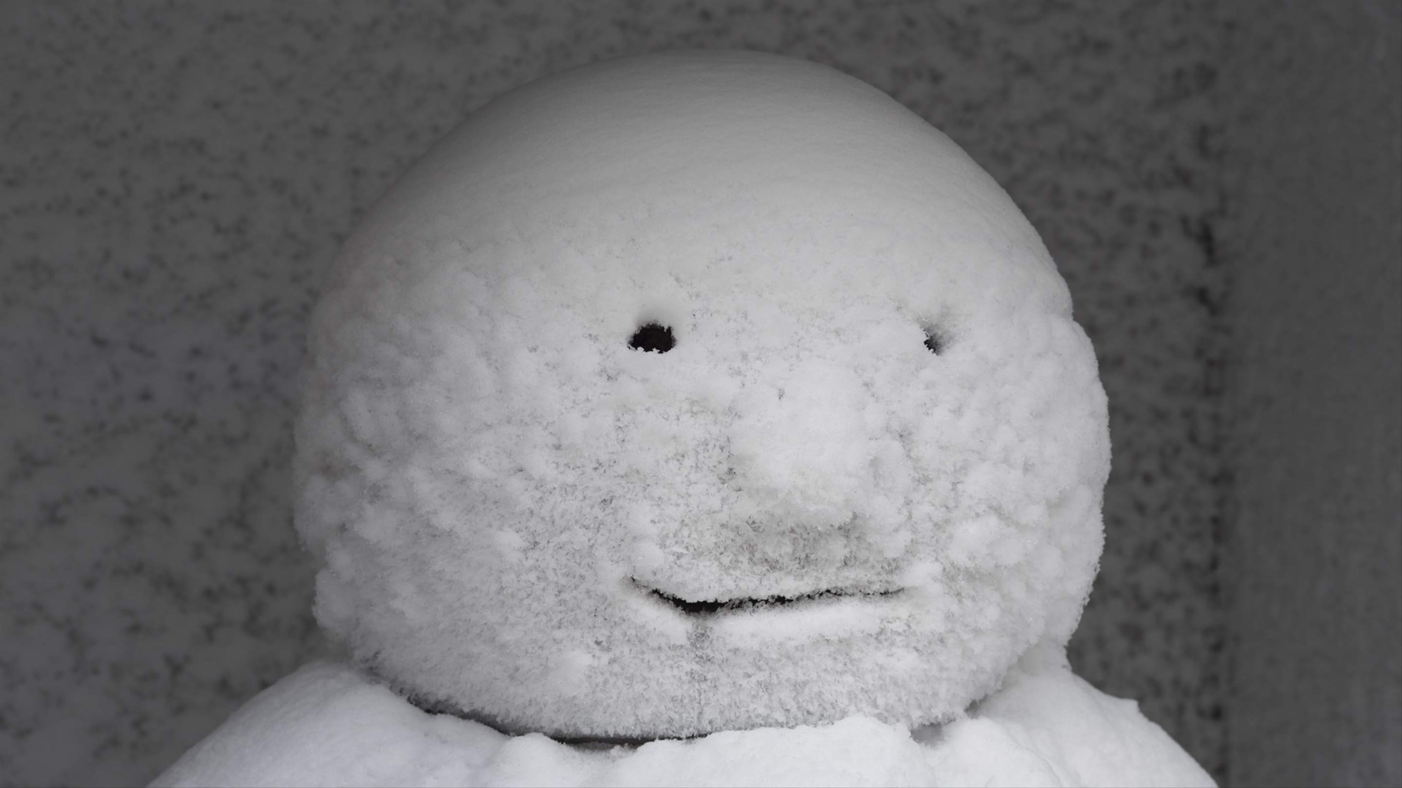 GOMA Will Soon Be Home to a Real Snowman That Can Survive an Entire ...