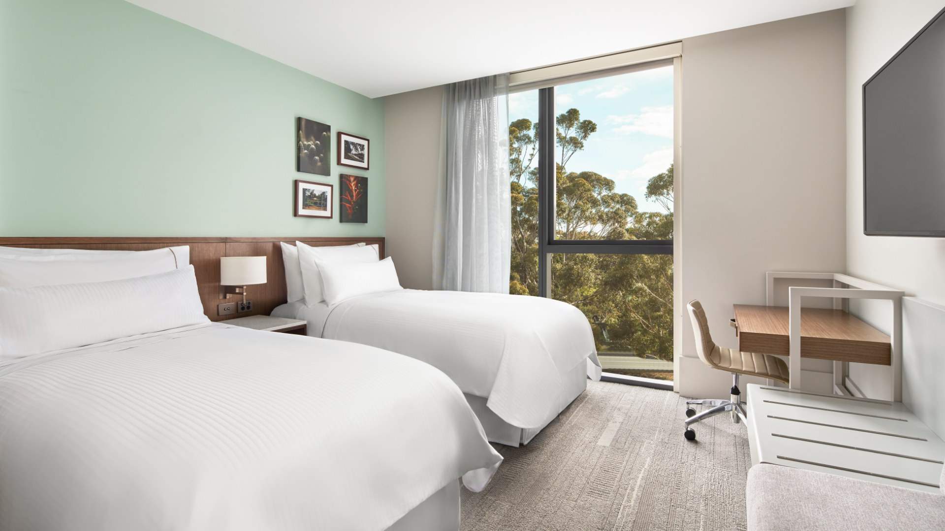 Element Richmond Is the Pet-Friendly Melbourne Hotel That'll Let Your ...