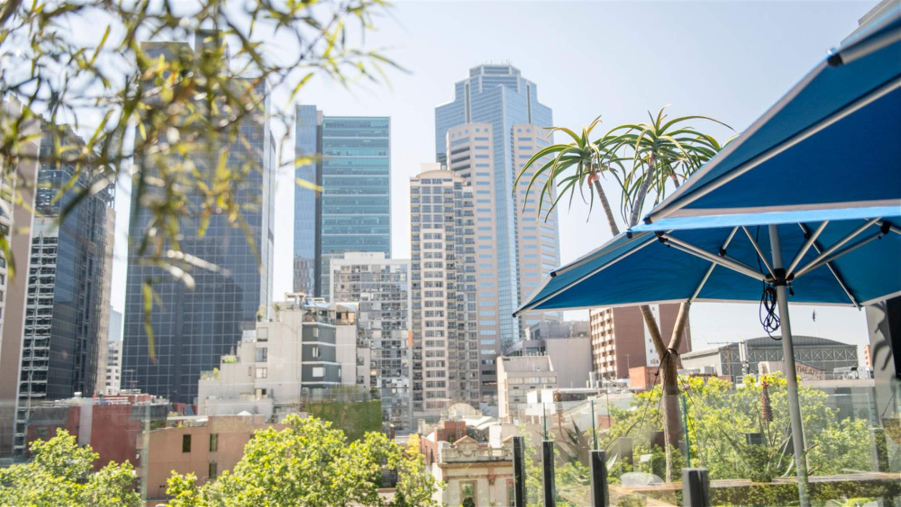 Loop Has Opened a Second Greenery-Filled Rooftop Bar in the CBD ...