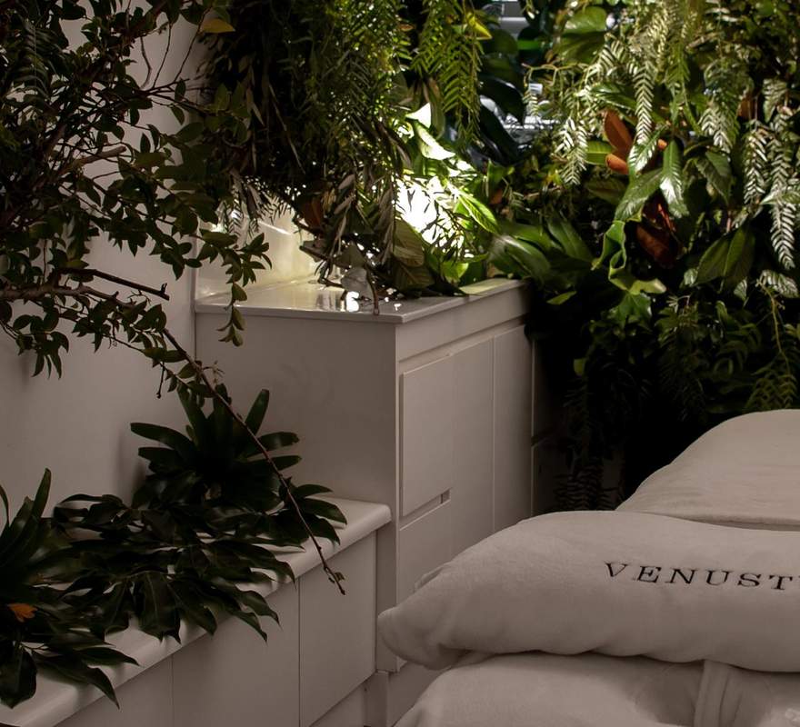 Venustus - Concrete Playground