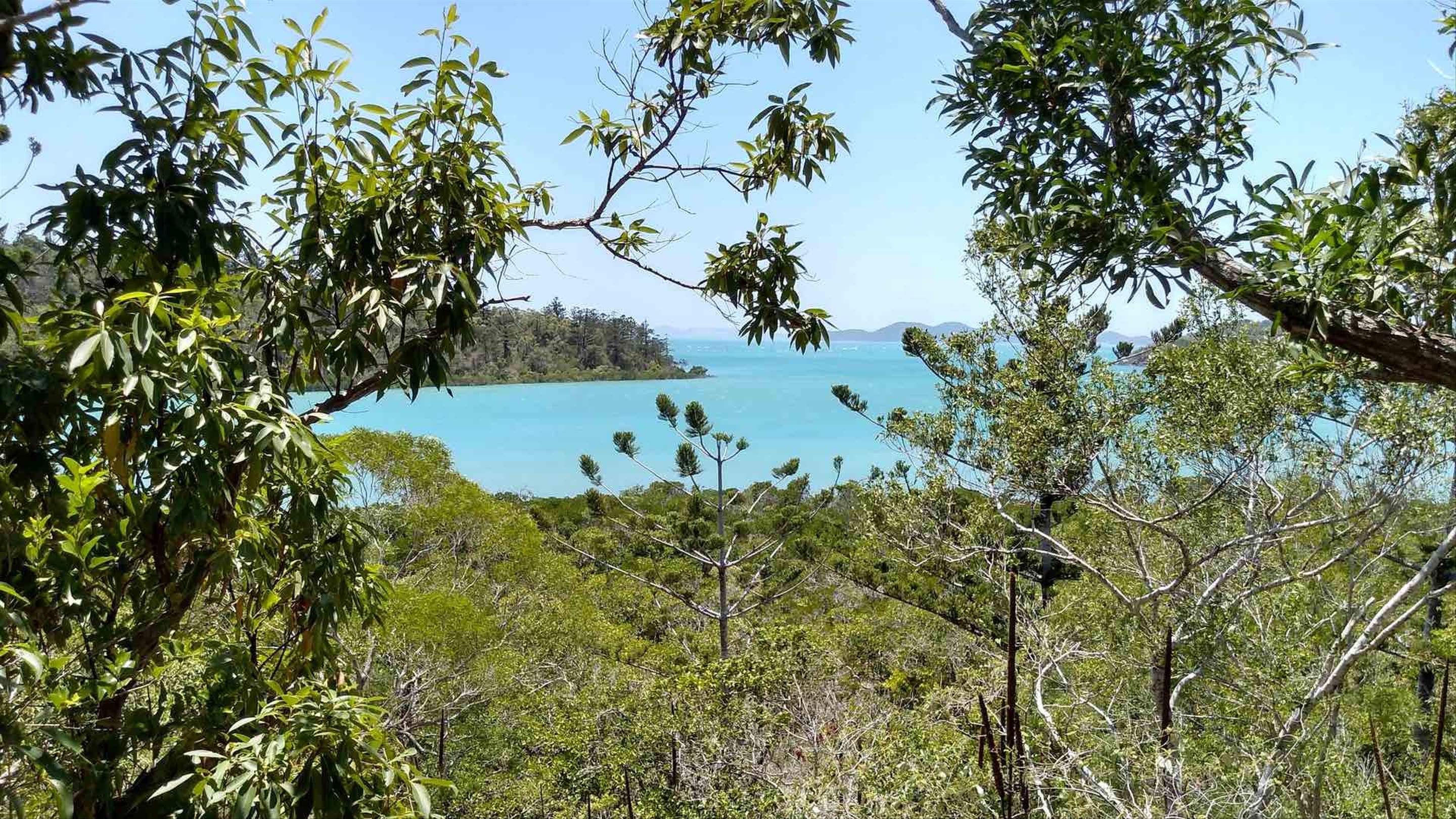 The Ten Best Beach Camping Spots in Queensland - Concrete Playground