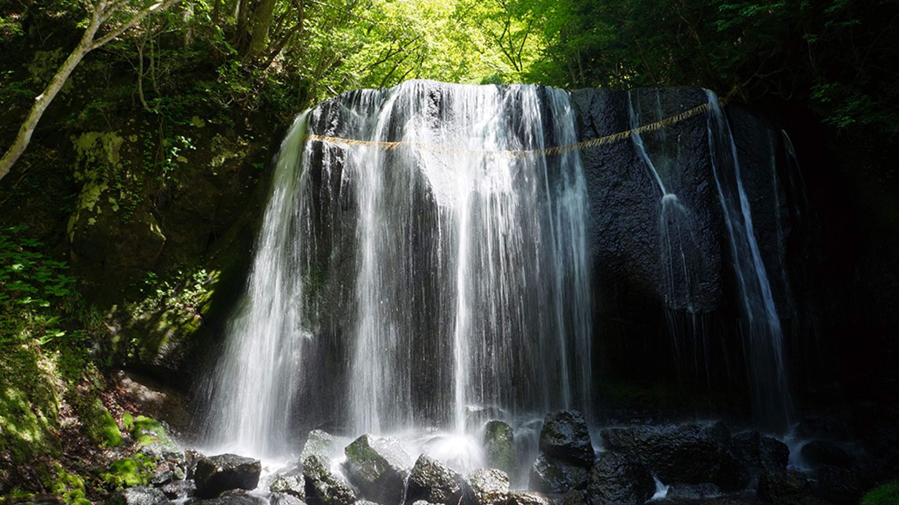 Five Nature Trails to Complete When You Visit Japan's Stunning Tohoku Region - Concrete Playground