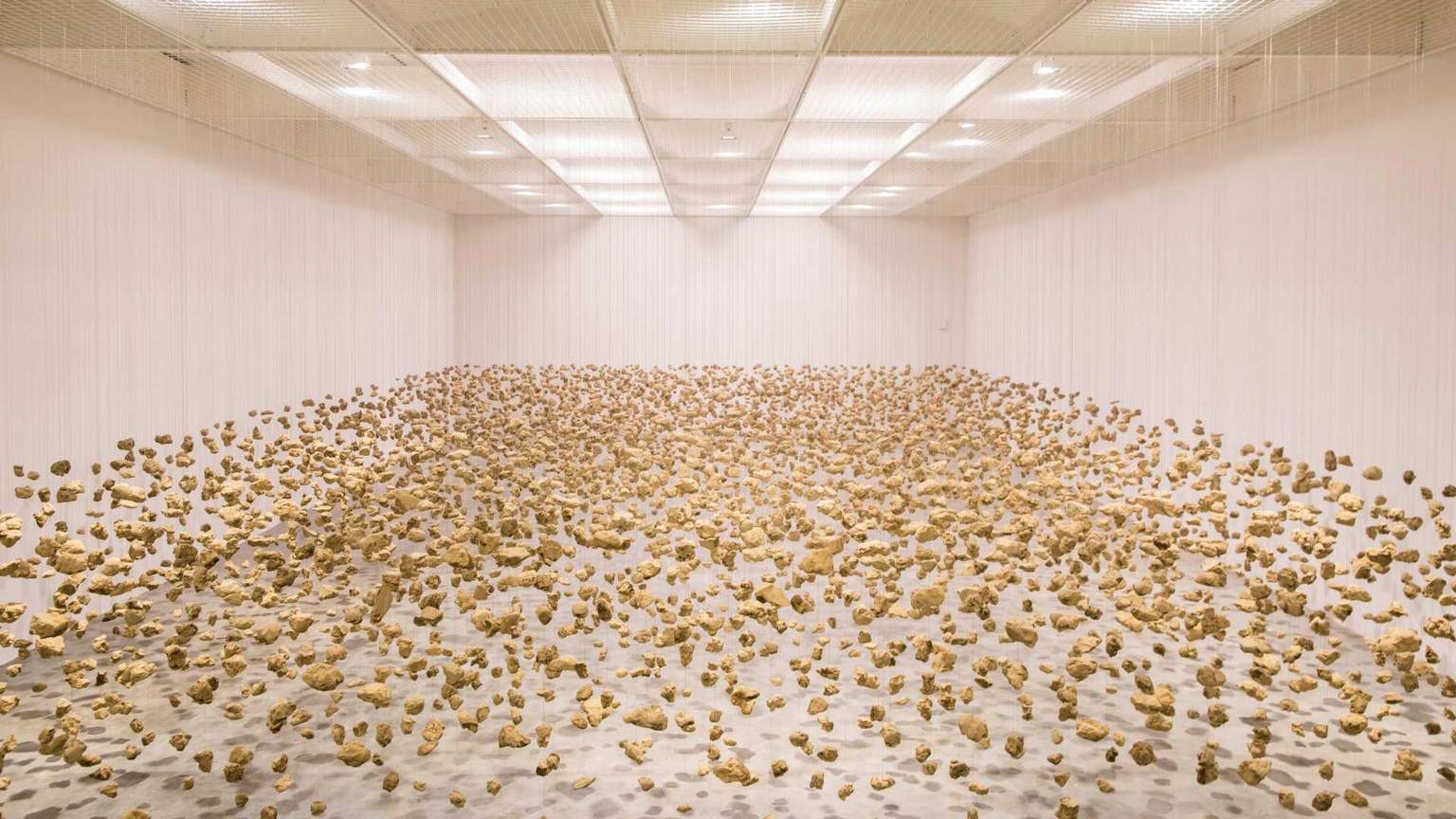 Cornelia Parker - Concrete Playground