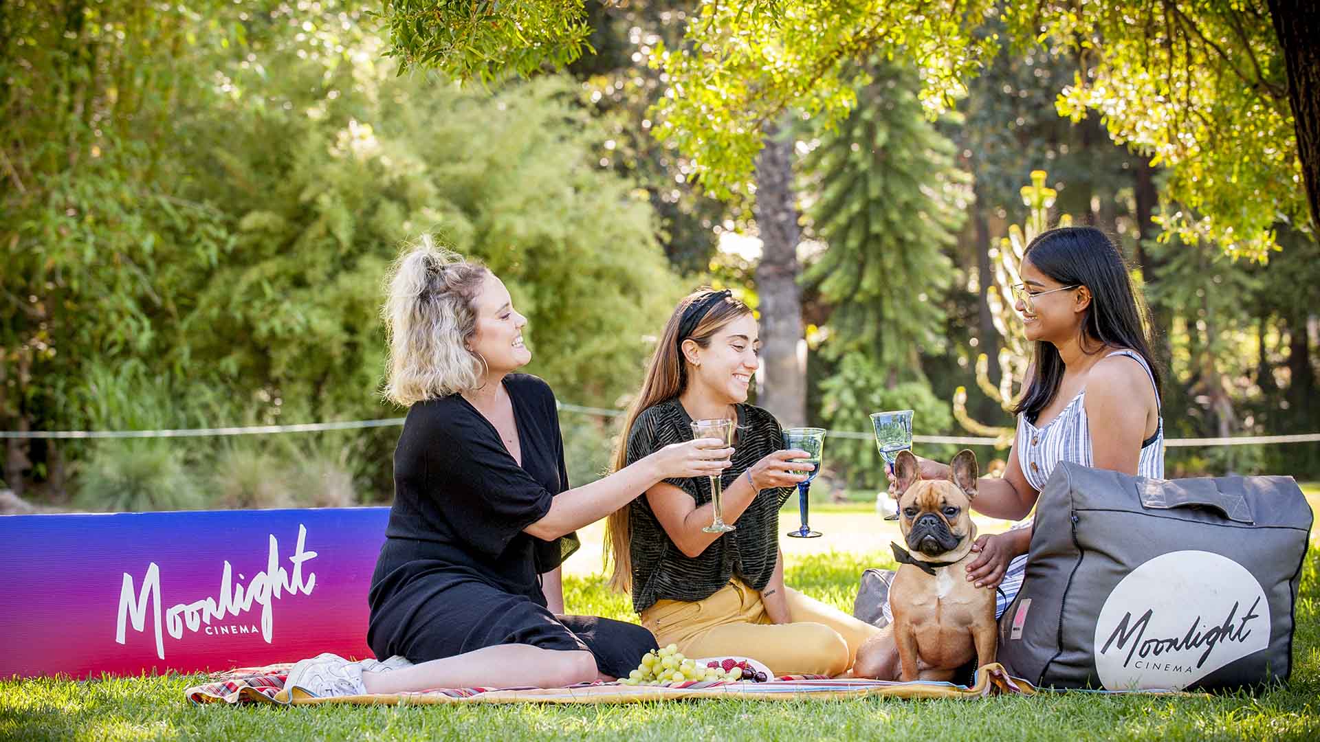 Moonlight Cinema Sydney 2021–22 - Concrete Playground