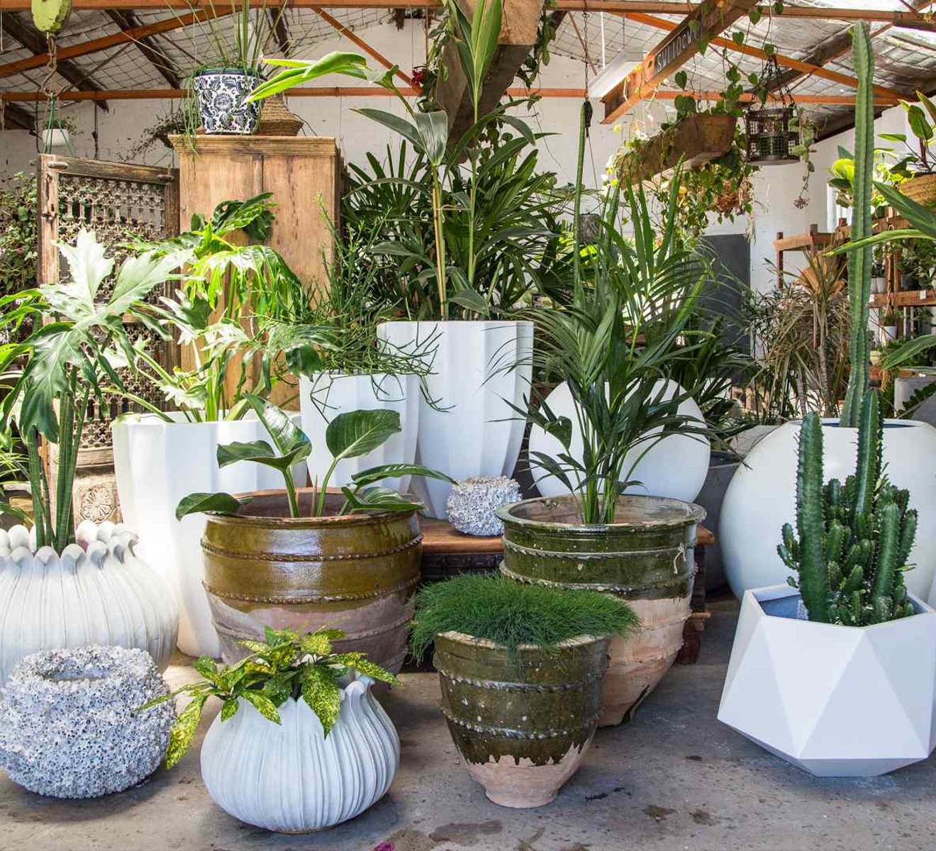 The Pot Warehouse - Concrete Playground