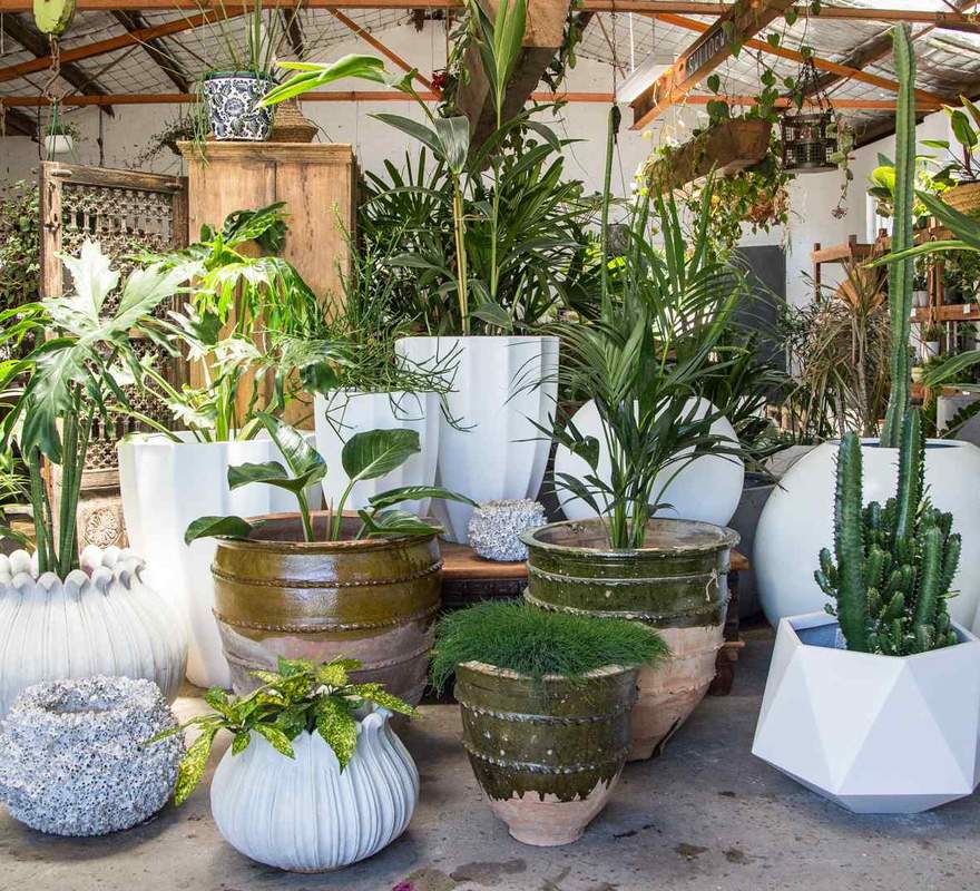 The Pot Warehouse - Concrete Playground