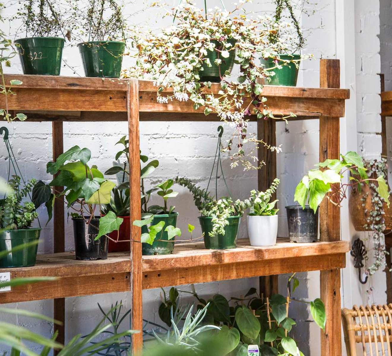 The Pot Warehouse - Concrete Playground