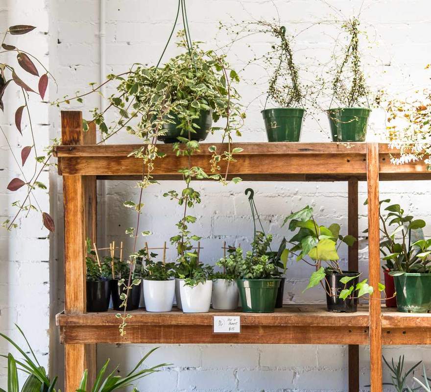 The Pot Warehouse - Concrete Playground