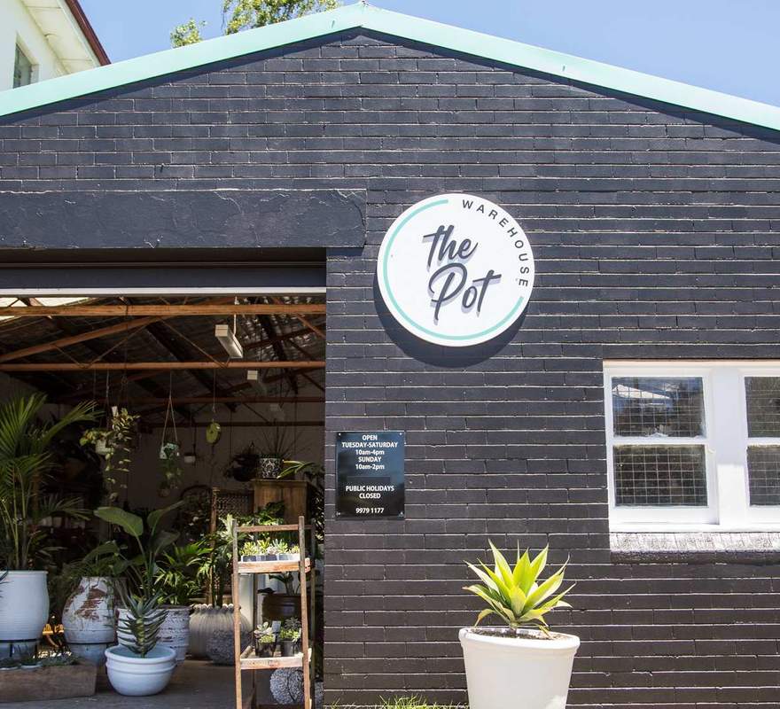 The Pot Warehouse - Concrete Playground