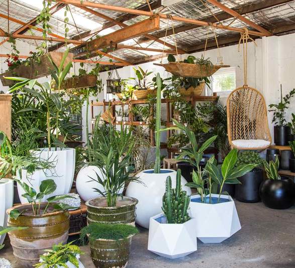 The Pot Warehouse - Concrete Playground