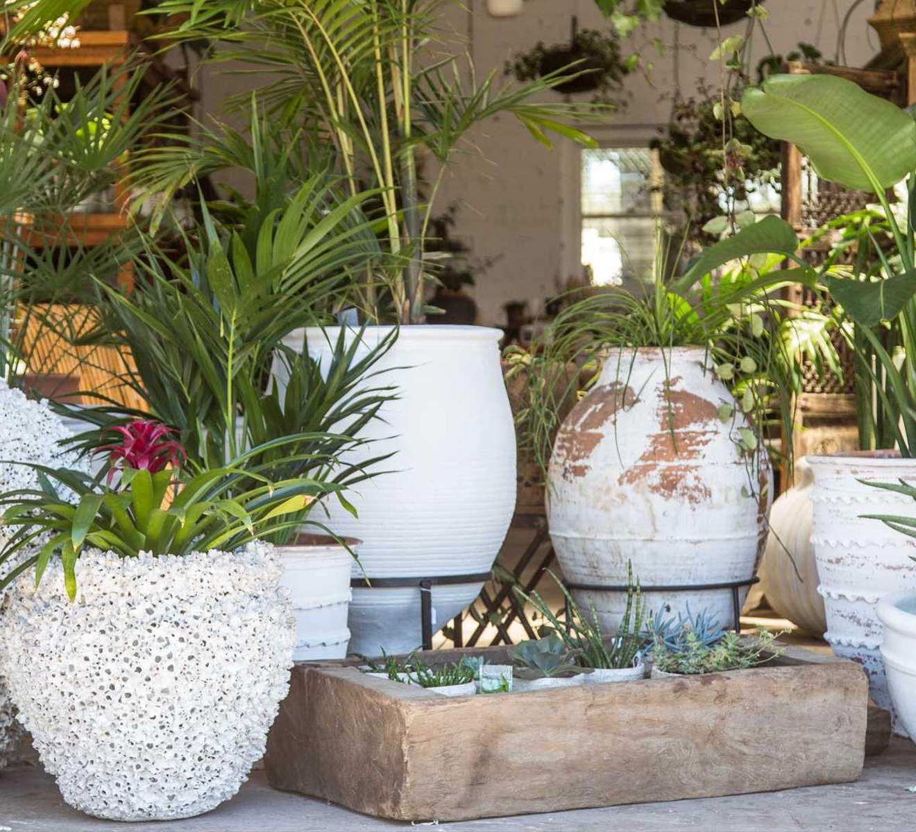 The Pot Warehouse - Concrete Playground