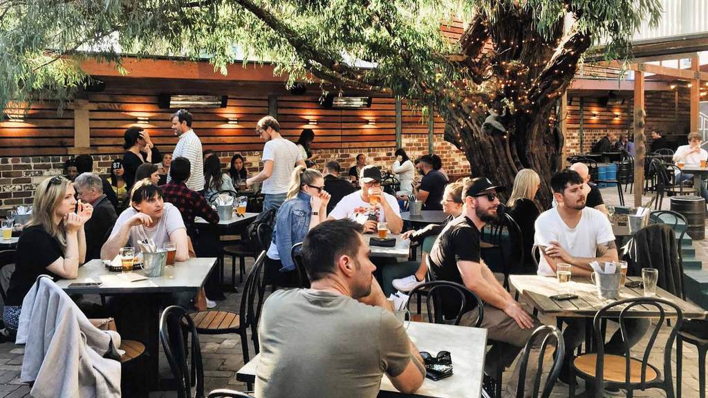 Grifter Bar Shout, Sydney