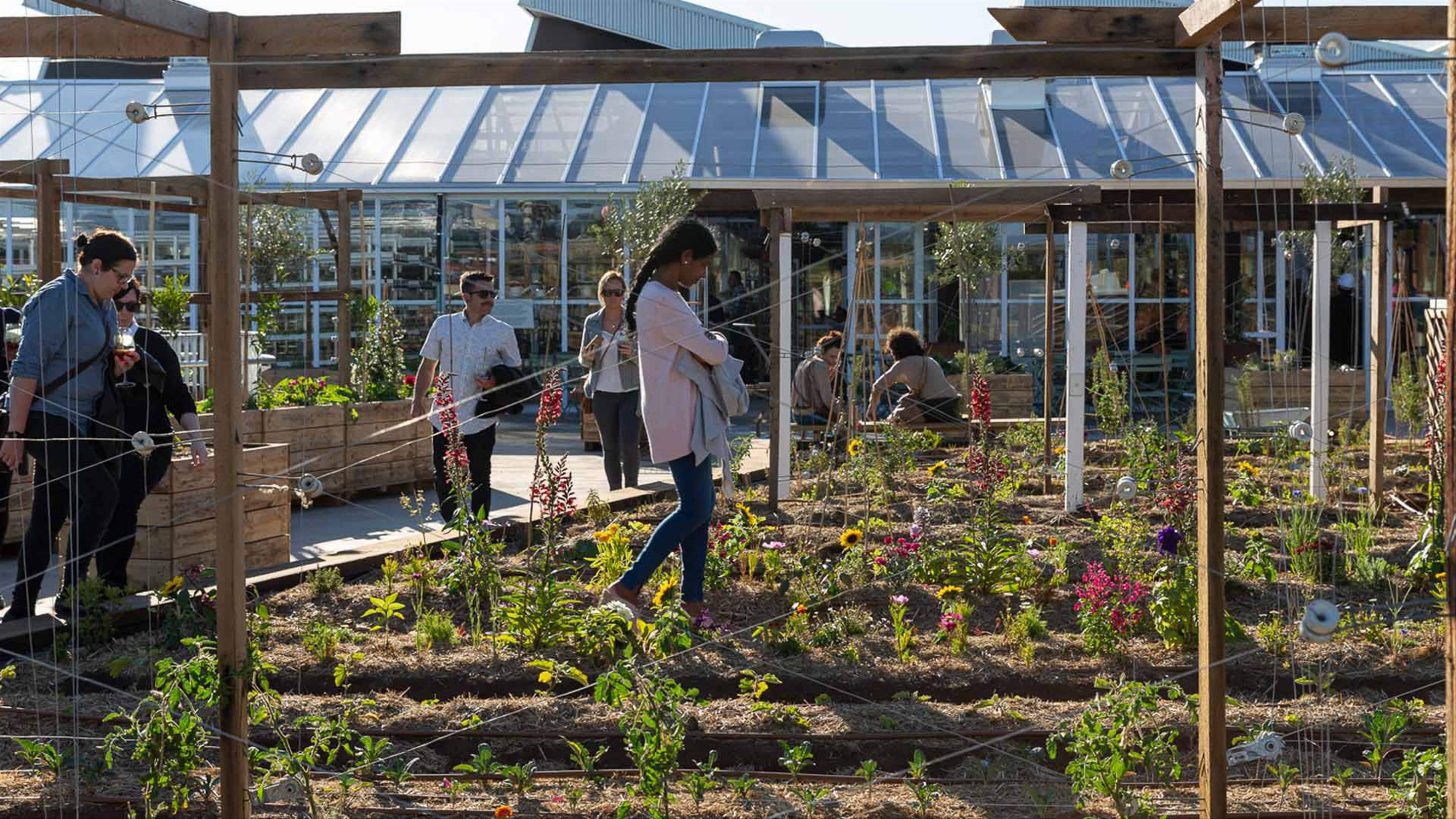 Acre Eatery and Its 2000-Square-Metre Urban Farm Are Now Open on a ...