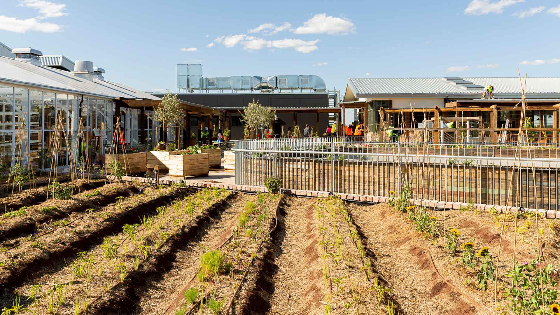 Acre Eatery and Its 2000-Square-Metre Urban Farm Are Now Open on a ...