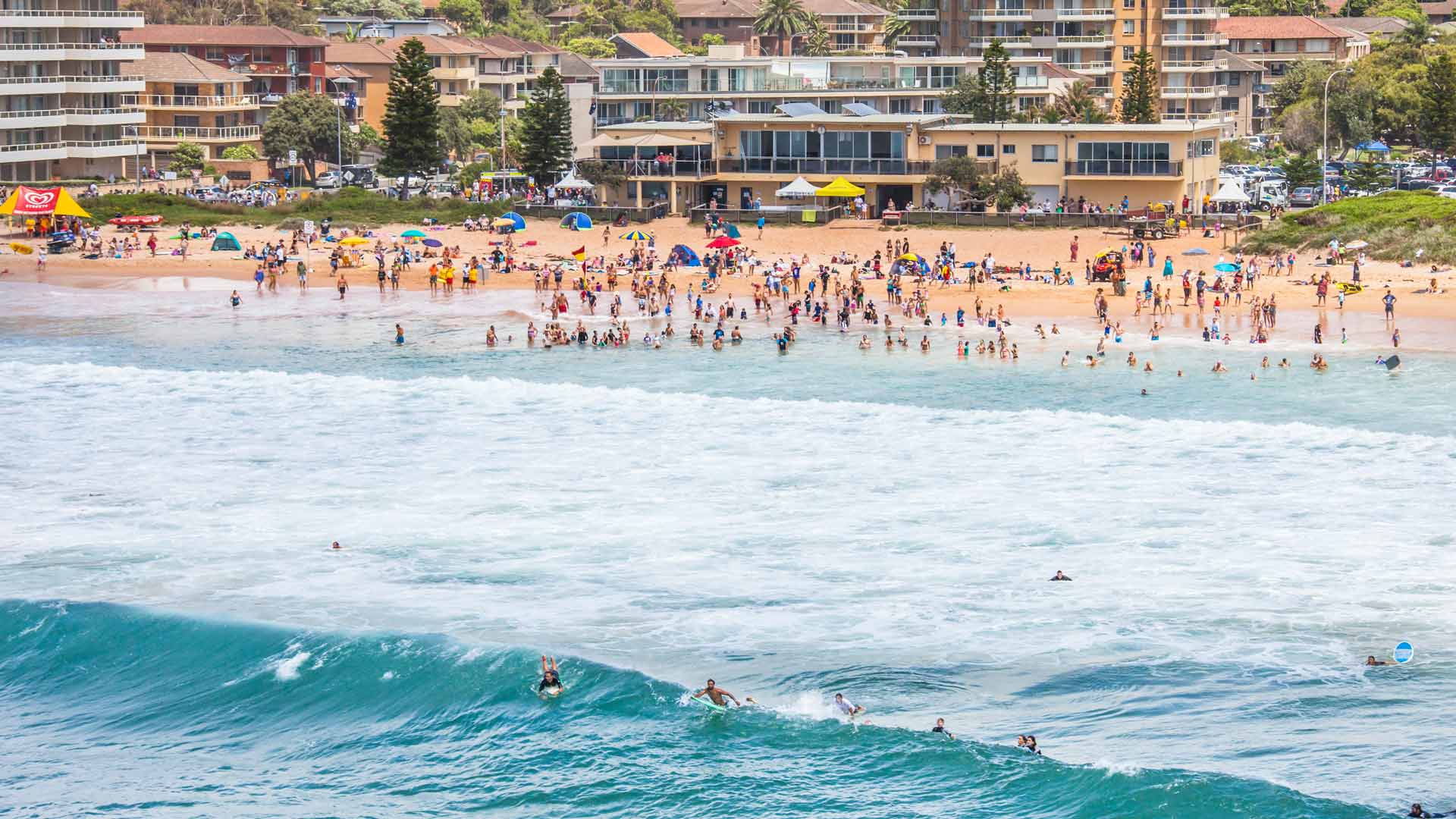 Dee Why Beach - Concrete Playground