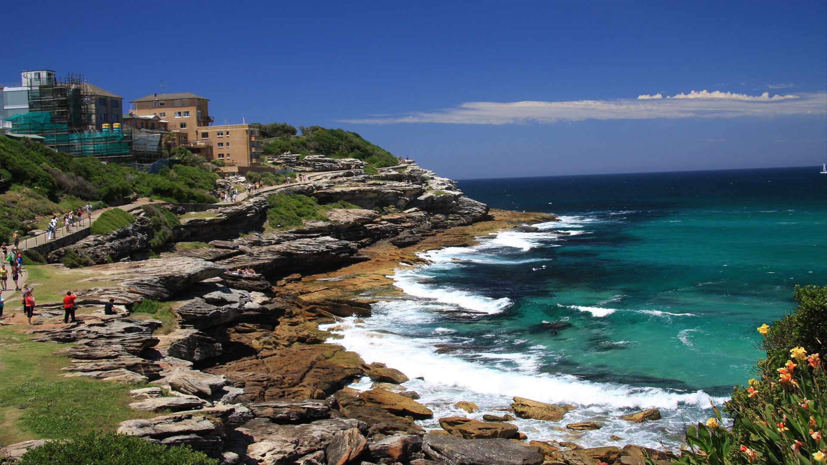 Sydney's Disappearing MacKenzies Bay Beach Has Made a Triumphant Return ...
