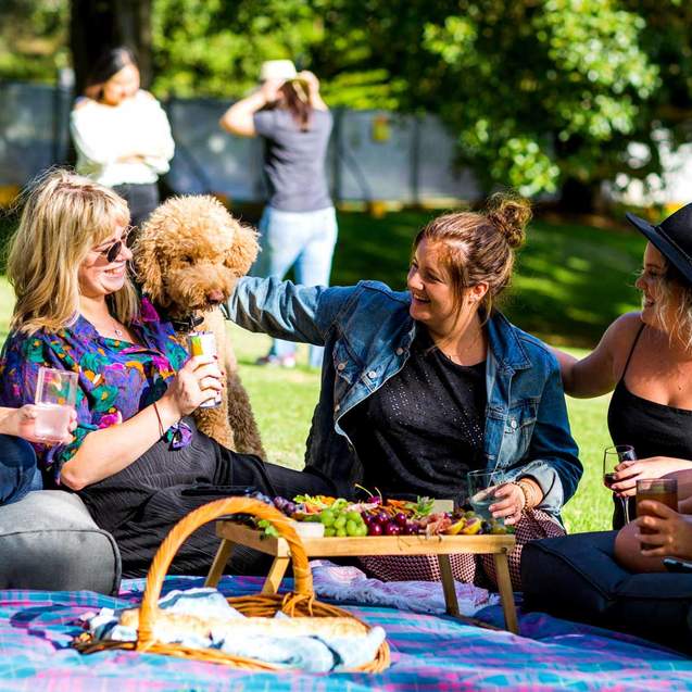 Moonlight Cinema Sydney: All the Details