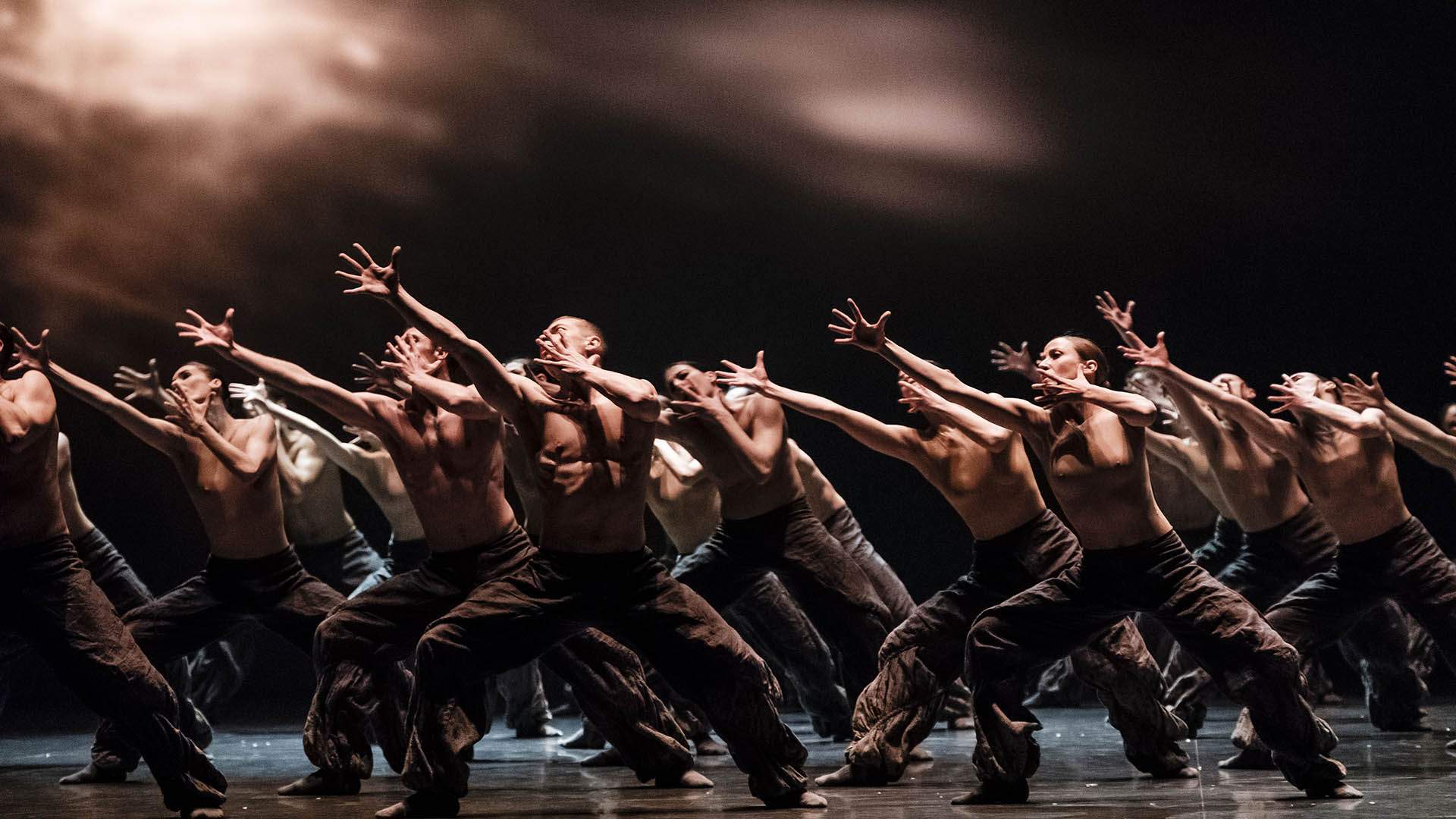 QPAC International Series 2020 — Paris Opera Ballet — CANCELLED, Brisbane