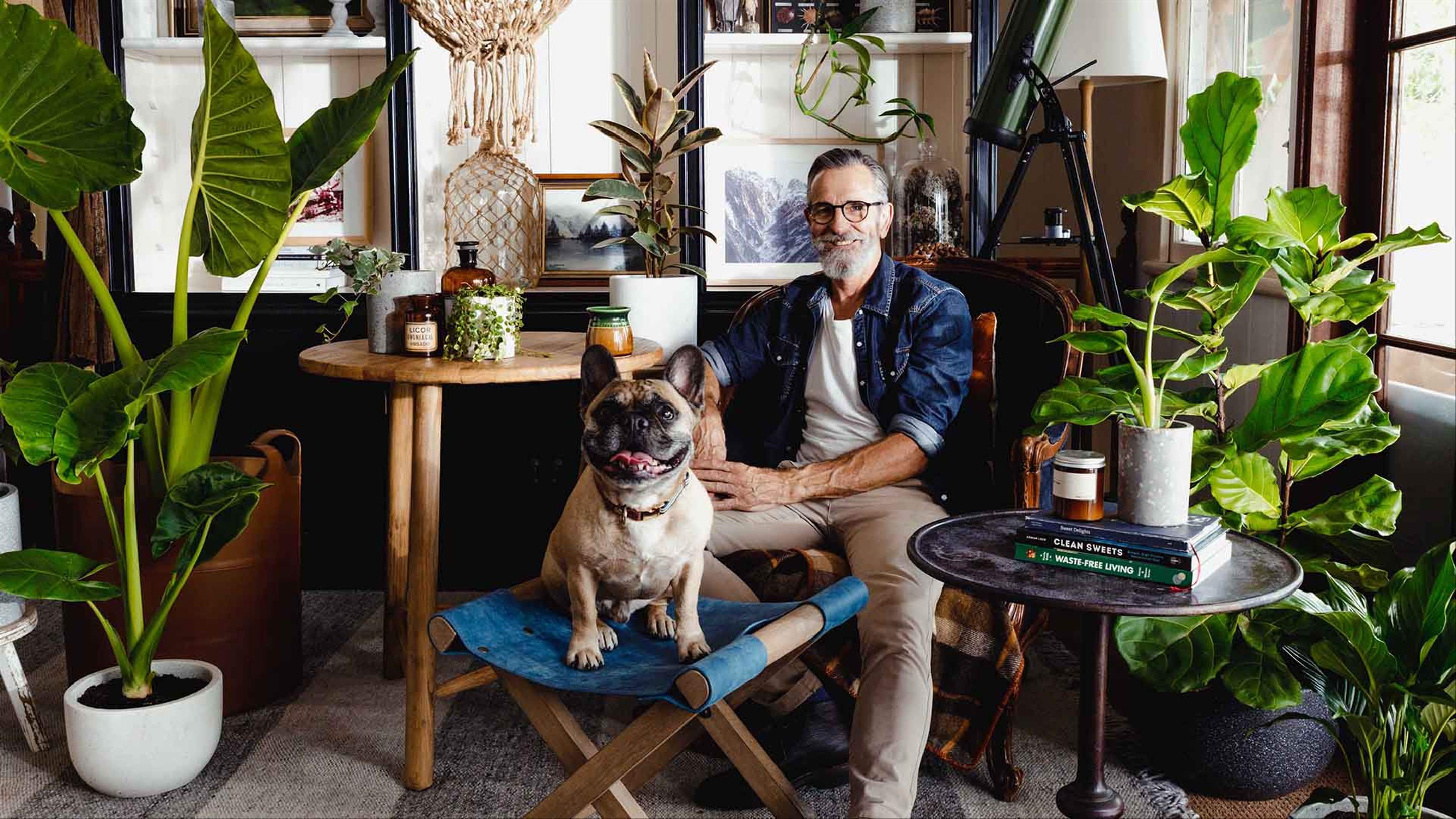 The Plant People Is the New Brisbane Nursery Delivering Indoor Plants ...